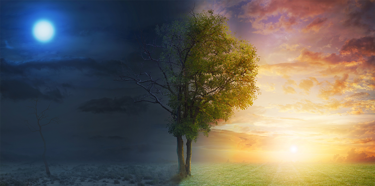 Creating Certainty in a Time of Uncertainty - Krause Center for Innovation Creating Certainty in a Time of Uncertainty - Krause Center for Innovation